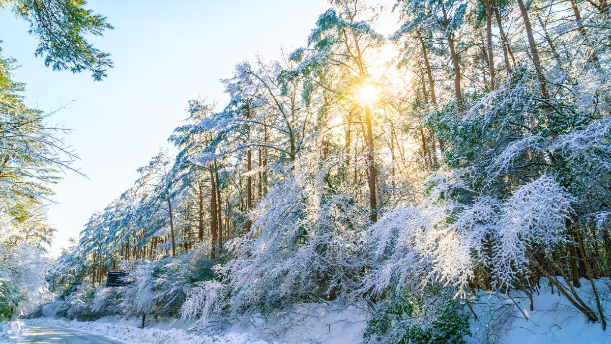 21 грудня: хто народився, які події та цікаві факти ᐉ 2000 UA